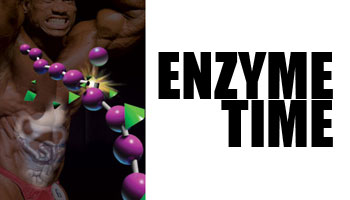 ENZYME TIME | Muscle & Fitness