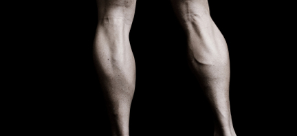 Neglected Body Parts: Forearms and Calves | Muscle & Fitness