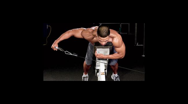 Rear Delt Cable Raise
