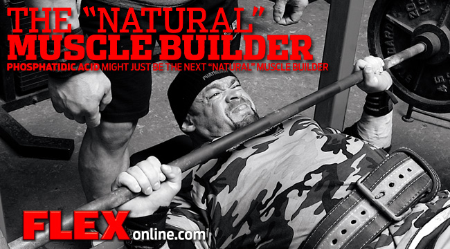 The “Natural” Muscle Builder | Muscle & Fitness