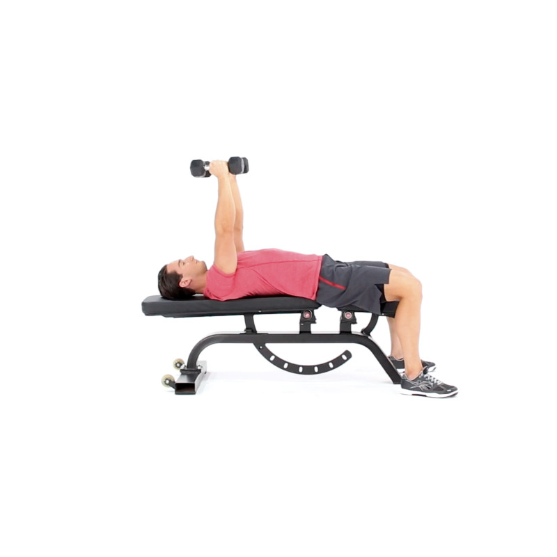 Dumbbell Lying Triceps Extension Exercise Video Guide | Muscle & Fitness