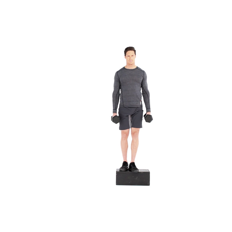 Side Step Ups Exercise