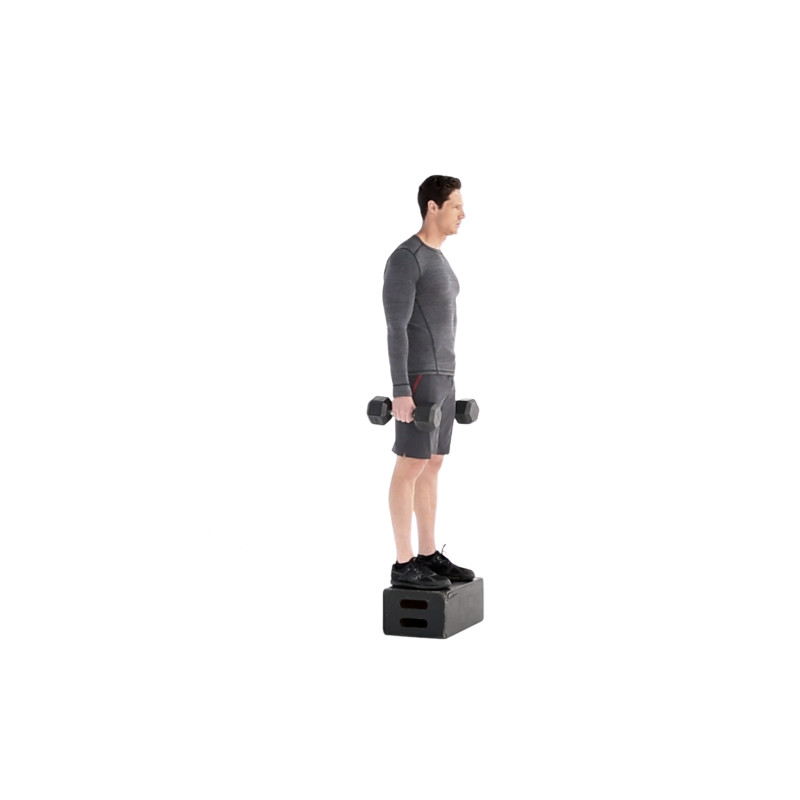 Reverse Dumbbell Box Lunge Exercise Video Guide | Muscle & Fitness