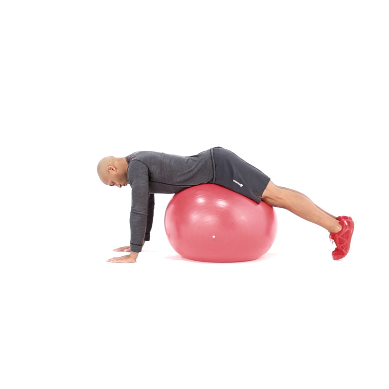 Reverse Leg Raise on Swiss Ball Exercise Video Guide | Muscle & Fitness