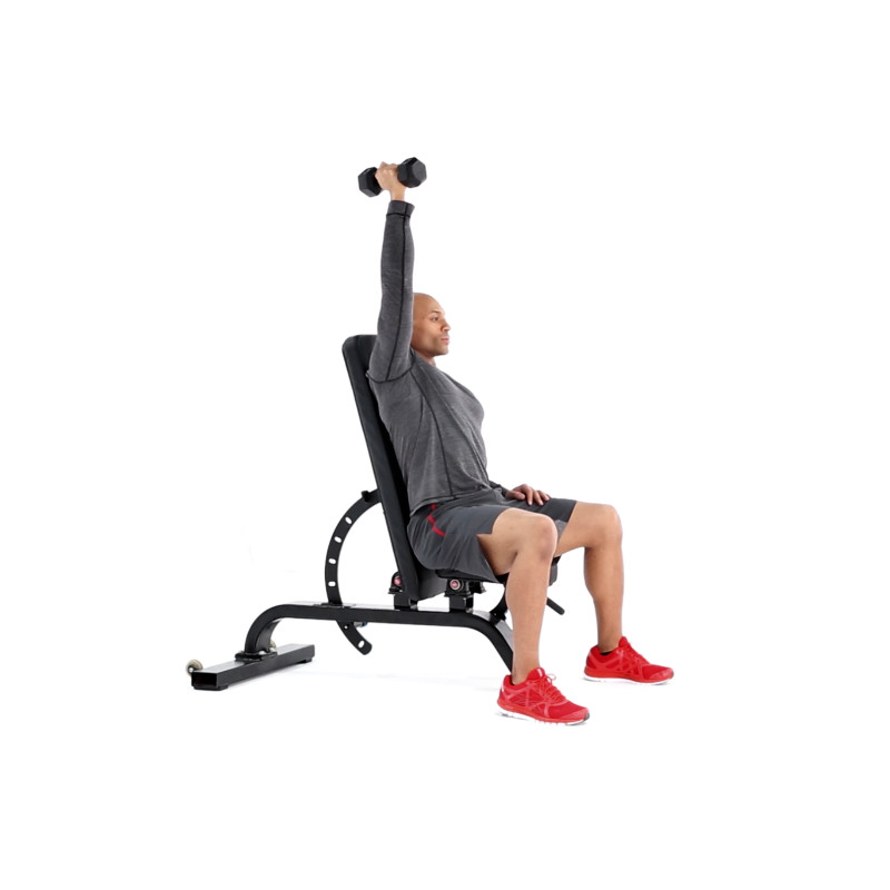 Seated Single-Arm Overhead Dumbbell Extension Exercise Video Guide ...