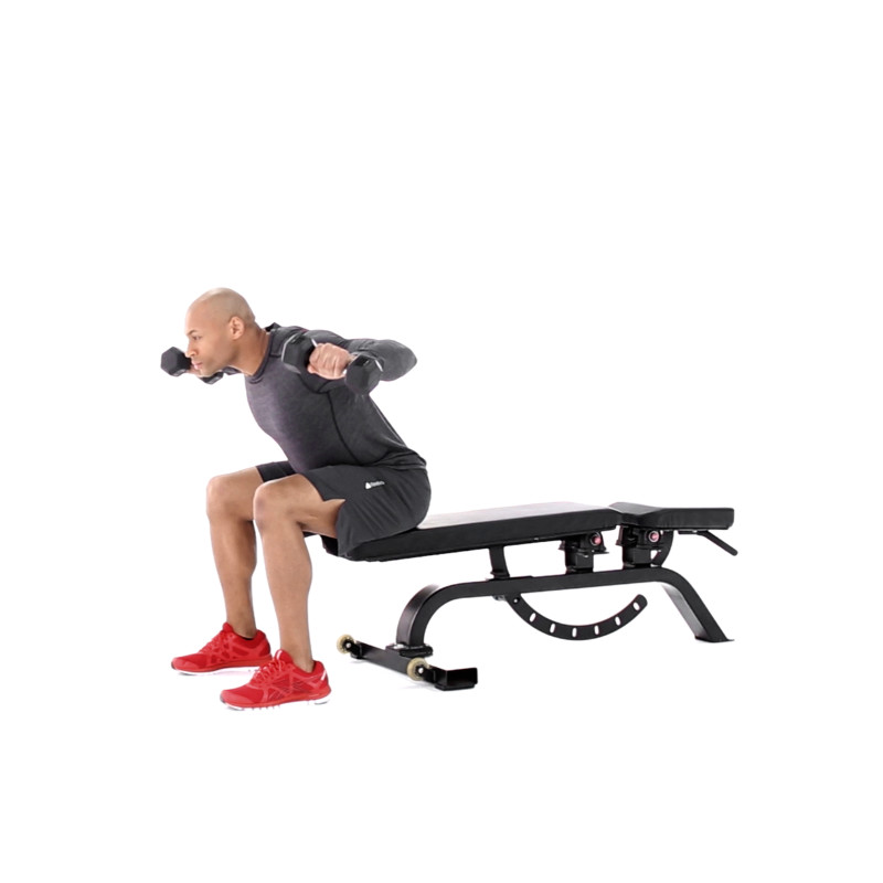 Seated Dumbbell Lateral Raise