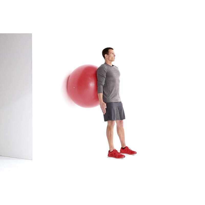 Swiss Ball Bodyweight Wall Squat Exercise Video Guide | Muscle & Fitness