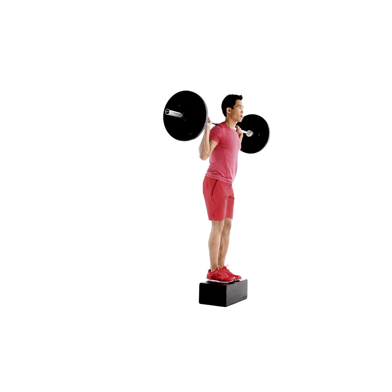 Barbell Step Up