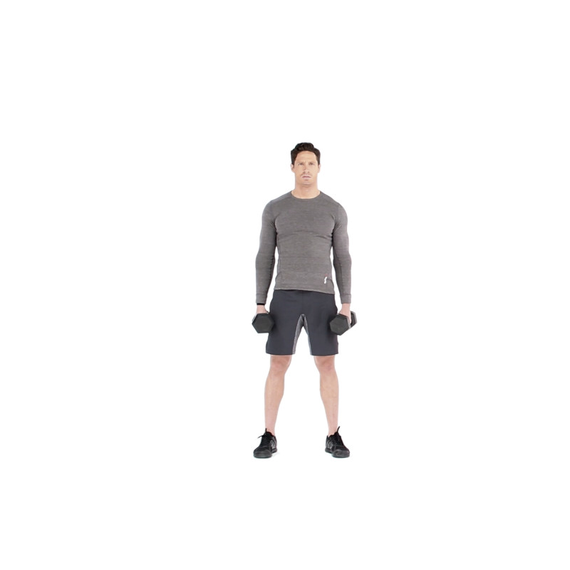 Alternating Dumbbell Biceps Curl Exercise Video Guide | Muscle & Fitness