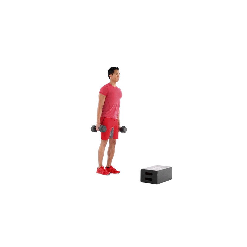 Dumbbell Box Lunge Exercise Video Guide | Muscle & Fitness