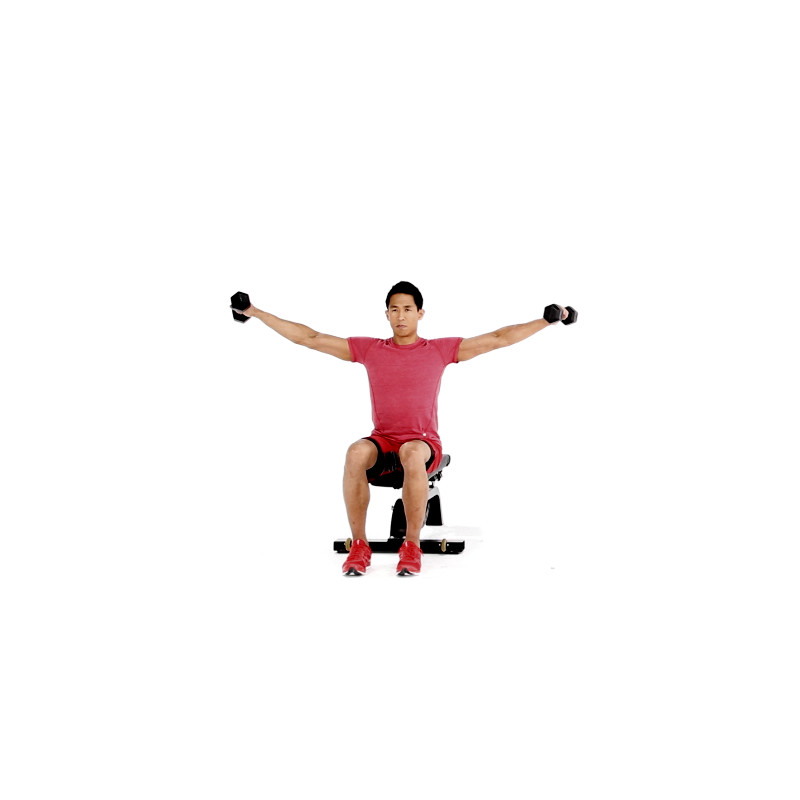 Seated Side Lateral Raise