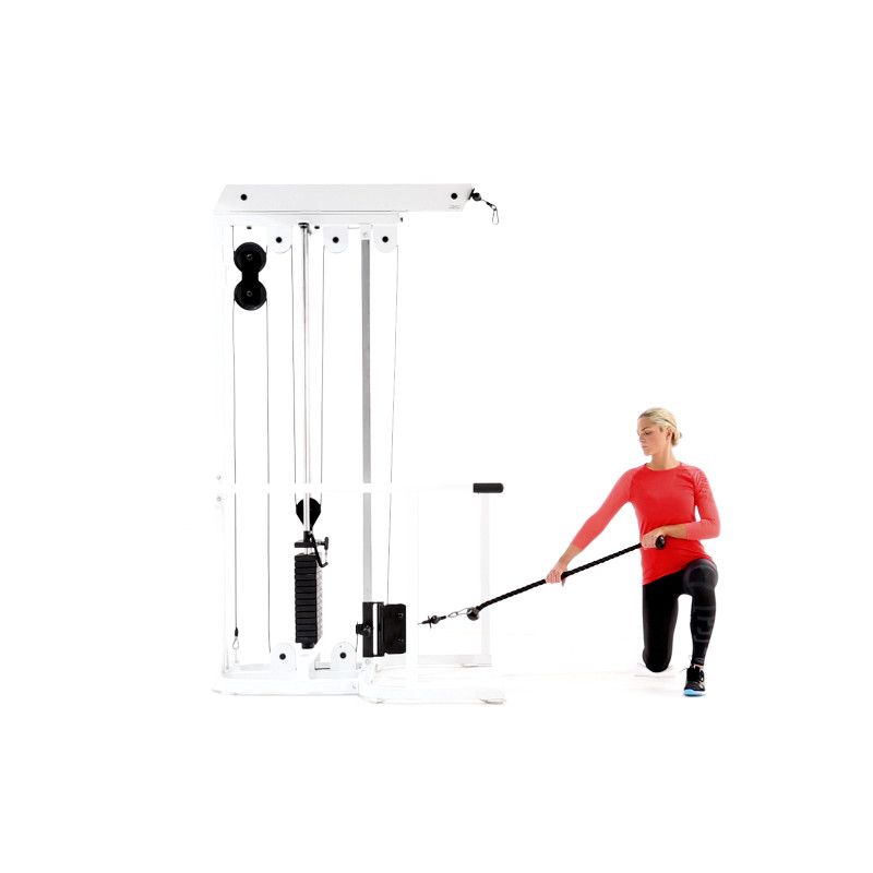 Half-Kneeling Rotational Reverse Chop Exercise Video Guide | Muscle ...