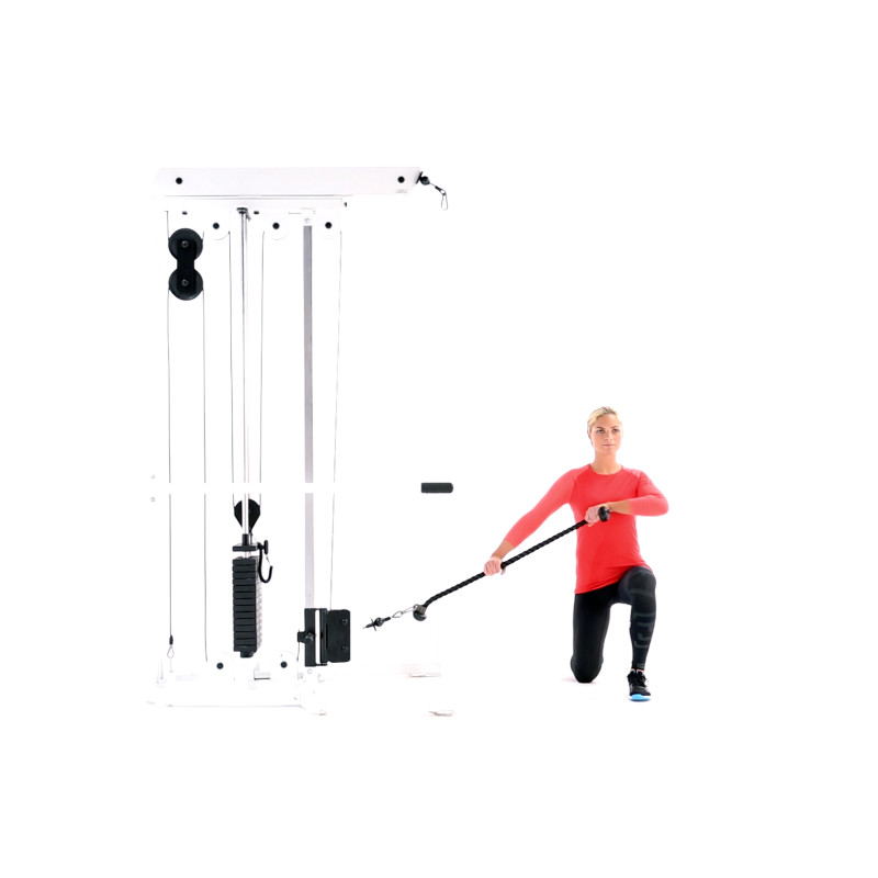 Half-Kneeling Stability Reverse Chop Exercise Video Guide | Muscle ...