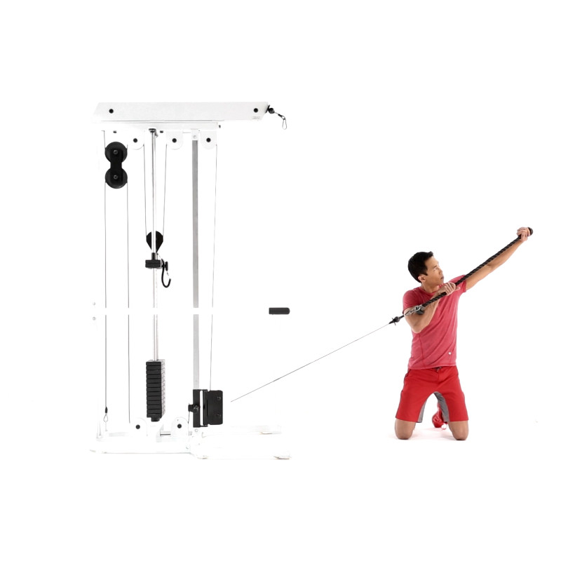 Kneeling Rotational Reverse Chop Exercise Video Guide | Muscle & Fitness