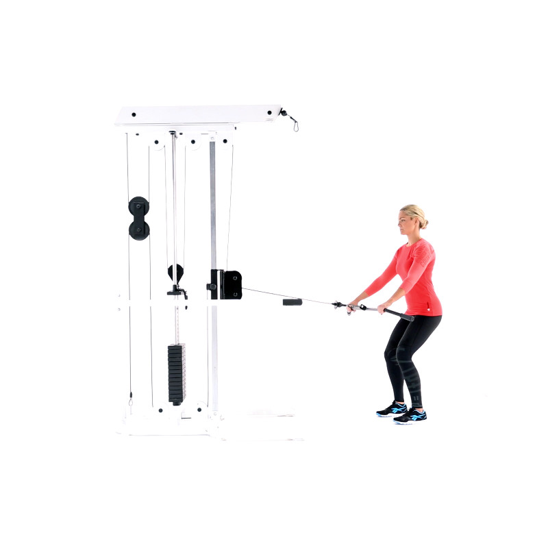 Cable Row Standing Exercise Video Guide | Muscle & Fitness