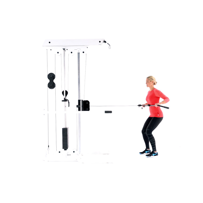 Standing Low Cable Row With Rope