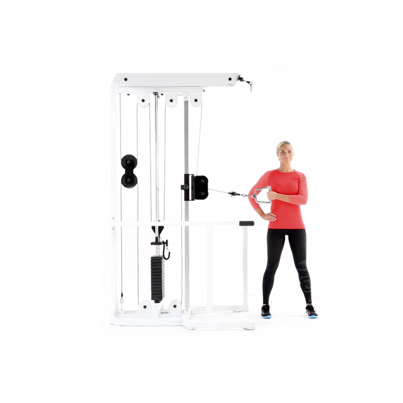 Single-Arm Standing Cable Reverse Flye Exercise Video Guide | Muscle ...