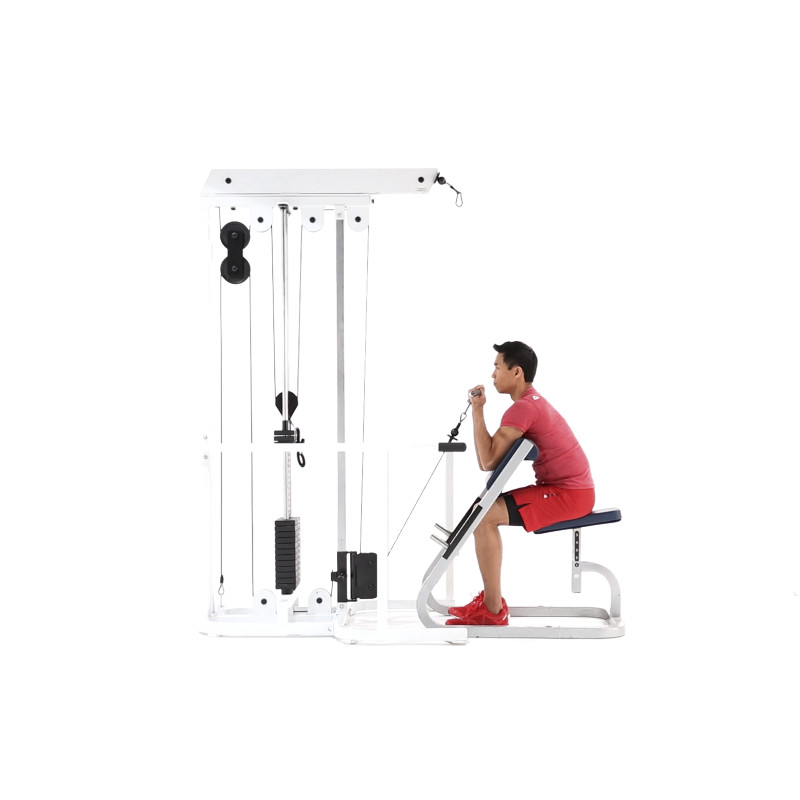 Standing Bicep Curl Machine