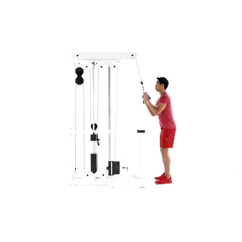 Reverse-Grip Pressdown Exercise Video Guide | Muscle & Fitness