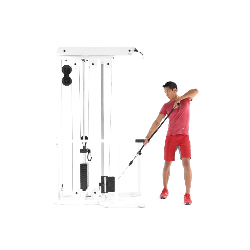 Standing Split Rotational Reverse Chop Exercise Video Guide | Muscle ...