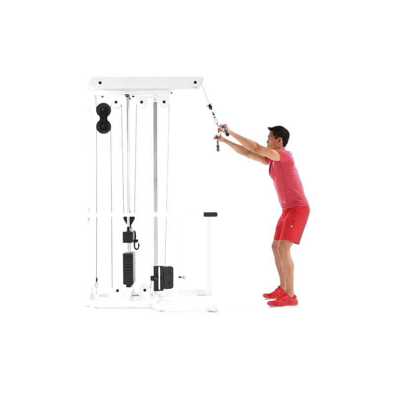 Standing Cable Pullover Exercise Video Guide | Muscle & Fitness