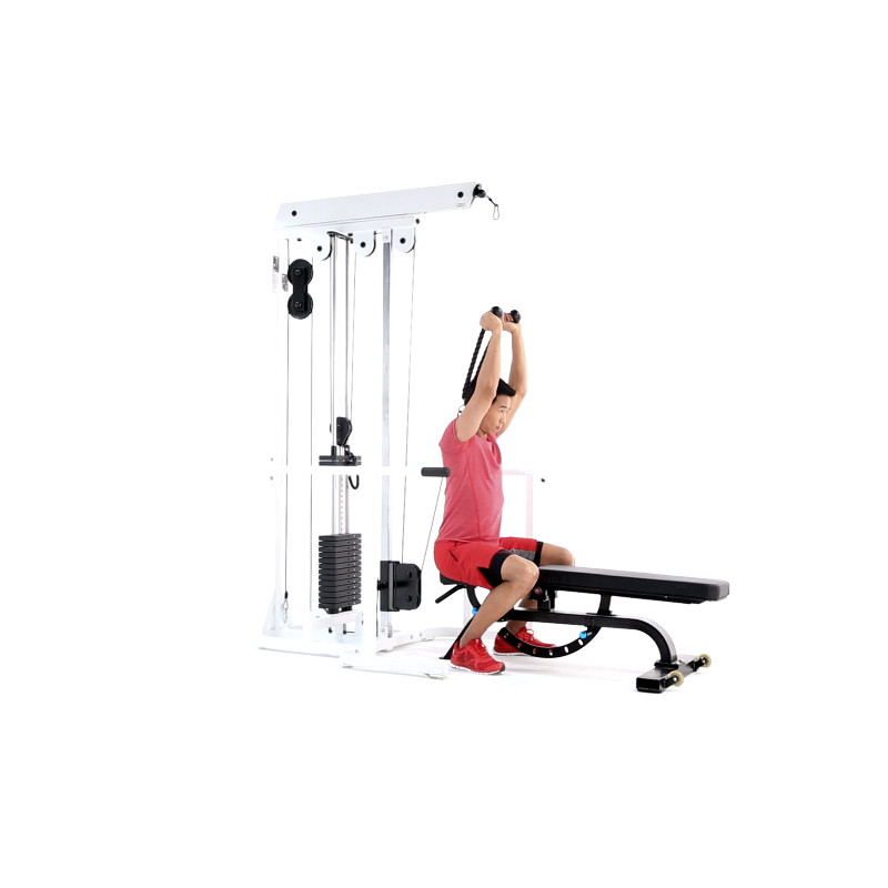 Overhead Lateral Triceps Extension