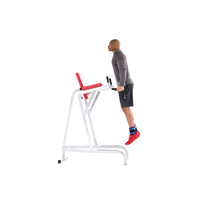 Weighted Dip Exercise Video Guide | Muscle & Fitness