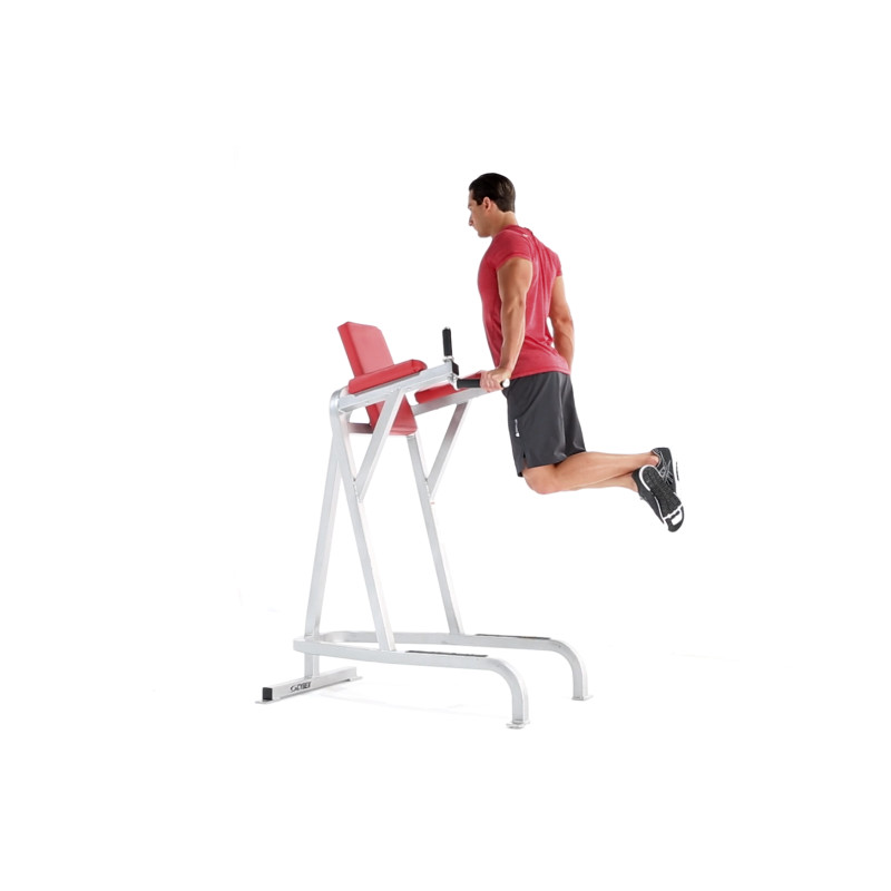 Incline Dip Exercise Video Guide | Muscle & Fitness