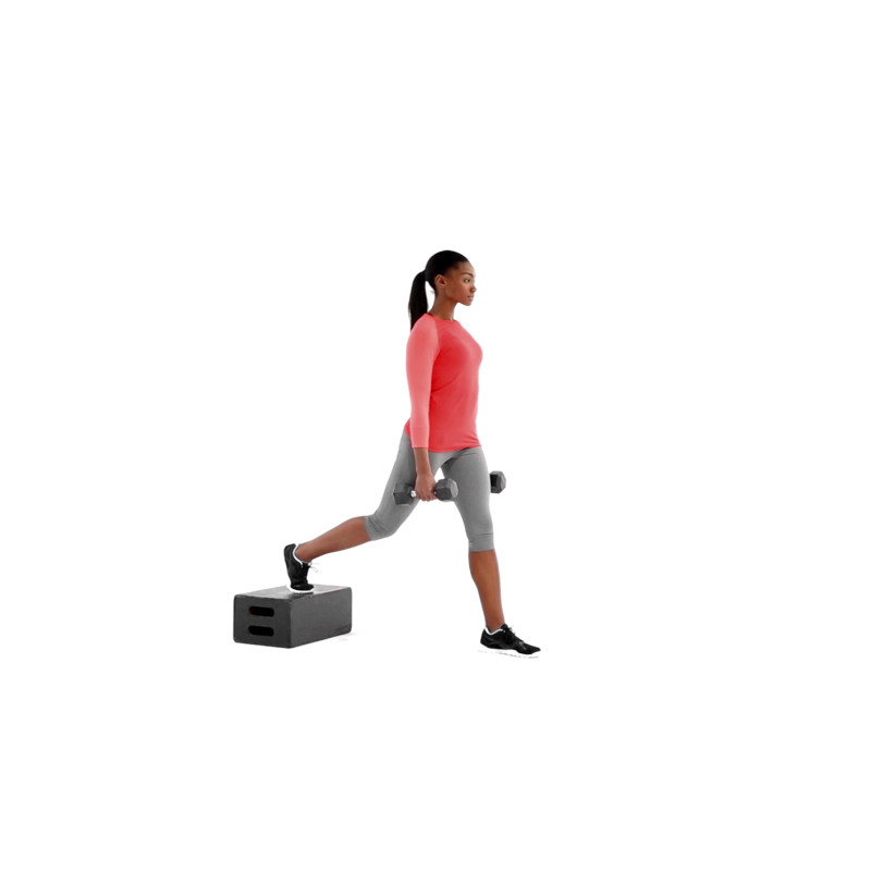 Back-Foot Elevated Dumbbell Split Squat Exercise Video Guide | Muscle ...