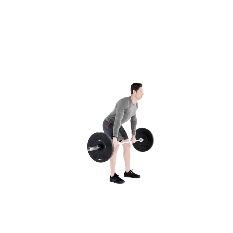 Barbell Jump Shrug Exercise Video Guide | Muscle & Fitness