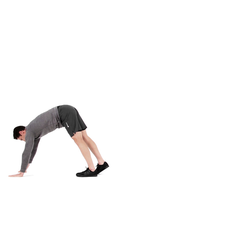 Inchworm Exercise Video Guide | Muscle & Fitness