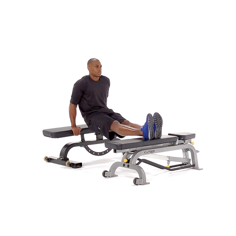 Bench Dip Exercise Video Guide | Muscle & Fitness