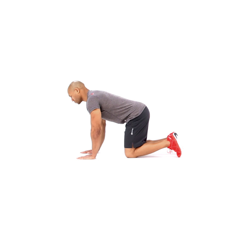 Quadruped with Leg Lift Exercise Video Guide | Muscle & Fitness