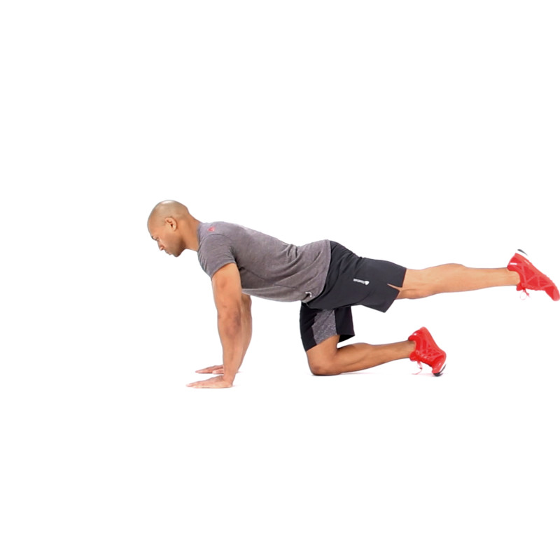 Quadruped with Leg Lift Exercise Video Guide | Muscle & Fitness