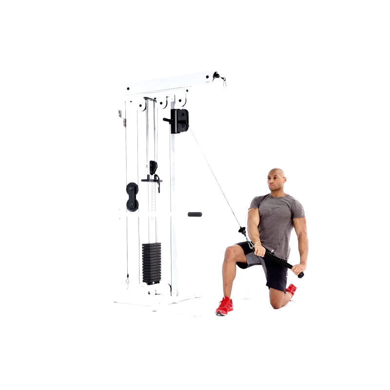 Cable Torso Rotation