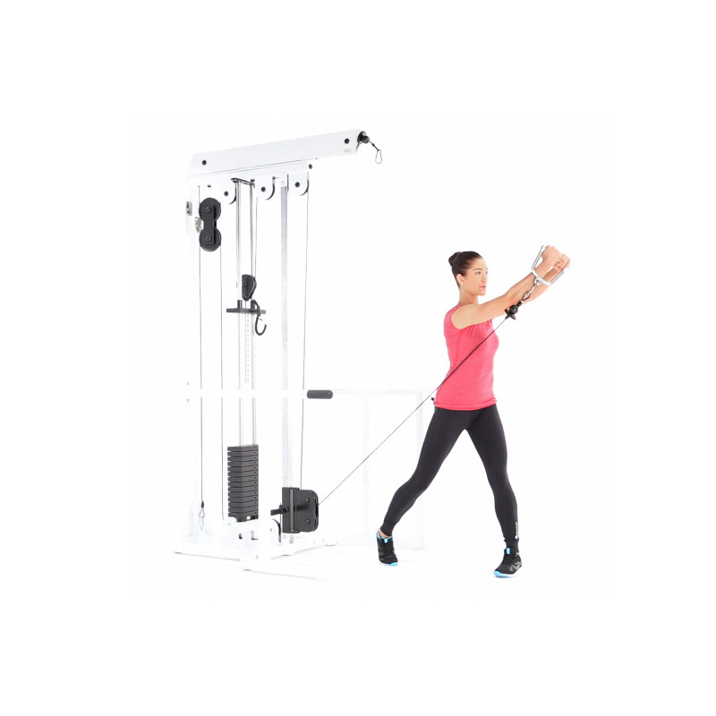 Cable Torso Rotation