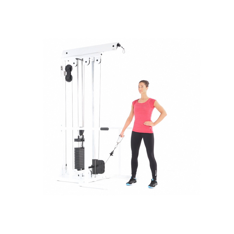 Cable Side Bend Exercise Video Guide | Muscle & Fitness