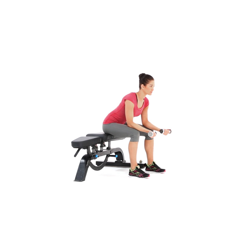 Dumbbell Wrist Extension