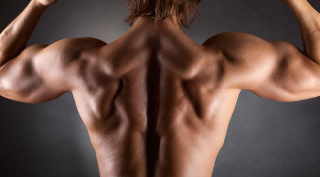 6 Best Exercises to Fix a Winged Scapula | Muscle & Fitness