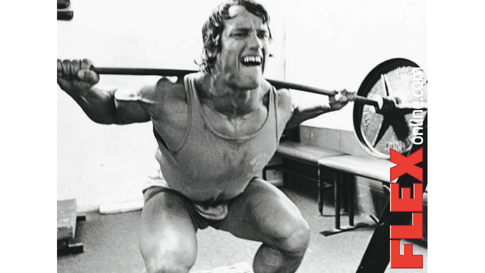 Arnold Leg Day
