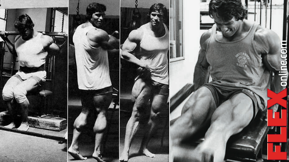 Arnold Leg Day