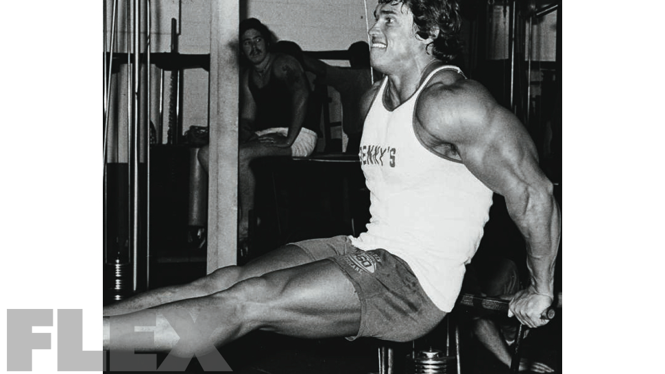 Arnold Schwarzenegger Triceps Workout