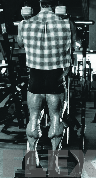 How Mike "The Boston Mass" Matarazzo Turned His Calves Into Fully Grown ...