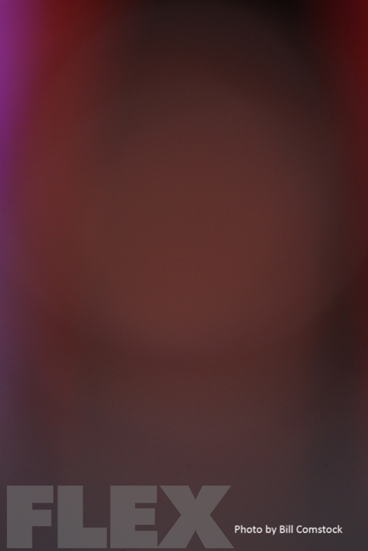 2014 Olympia - Ann Titone - Figure | Muscle & Fitness