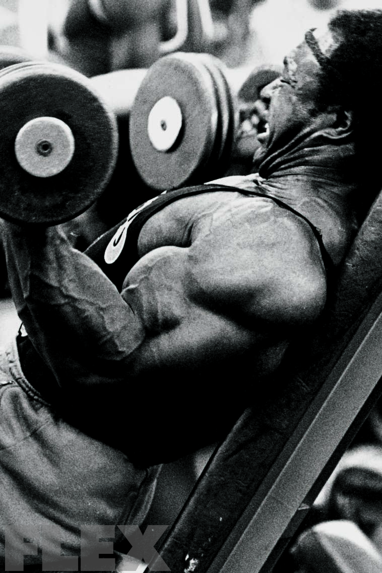 Bodybuilding Tips to Grow Your Arms | Muscle & Fitness