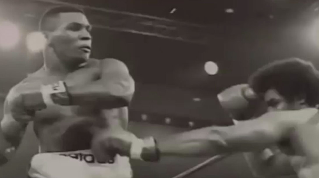Mike Tyson Knockout Gif