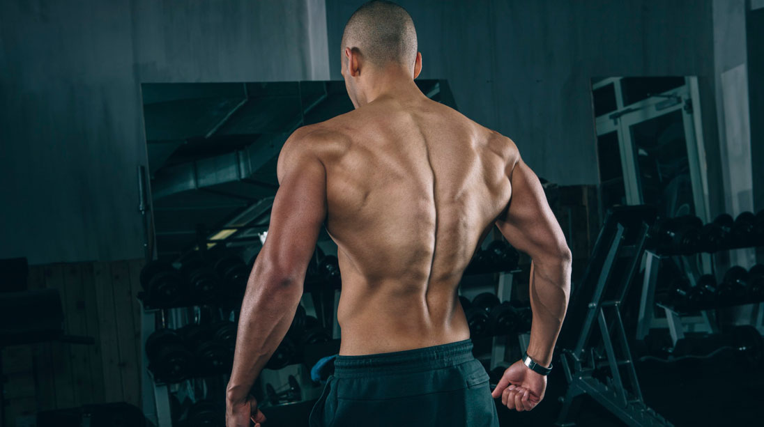 Reap the Rewards of True Functional Training | Muscle & Fitness