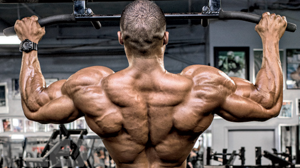 Classical Sculpting | Muscle & Fitness