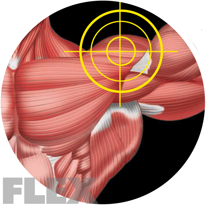 Build Up Your Front Delts | Muscle & Fitness