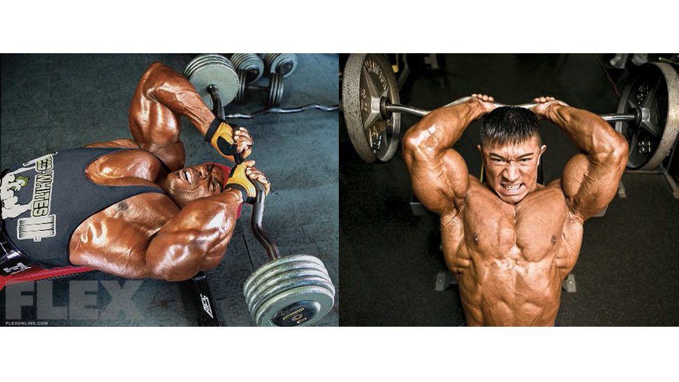 Overhead Lateral Triceps Extension